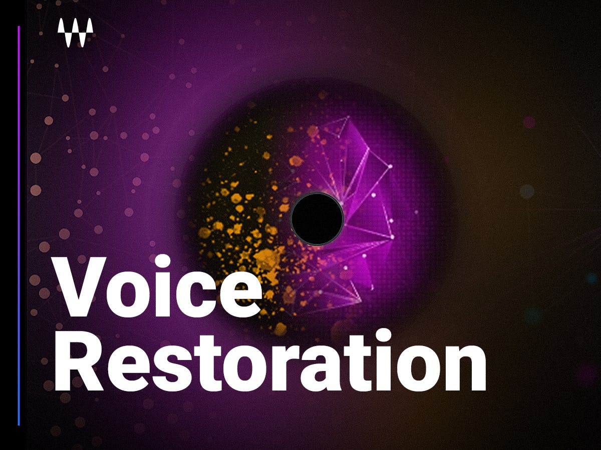 DeFieldRecording - Dialogue Vx Pro by Waves Audio | StudioVerse | Waves