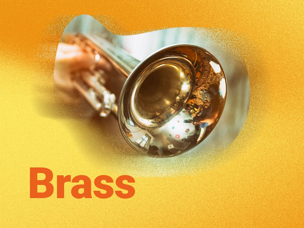 Dub Horns by Michael Goldwasser | StudioVerse | Waves