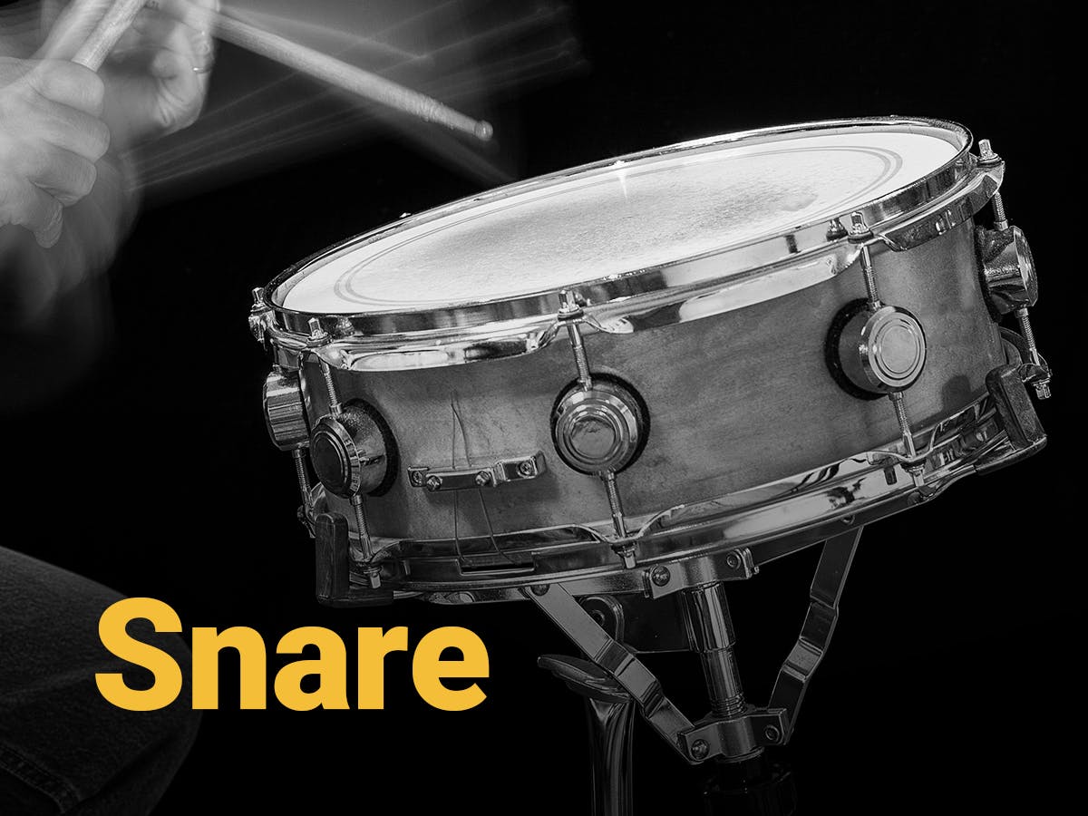 Big Fat Snare Spring Verb by Jaimeson Durr | StudioVerse | Waves