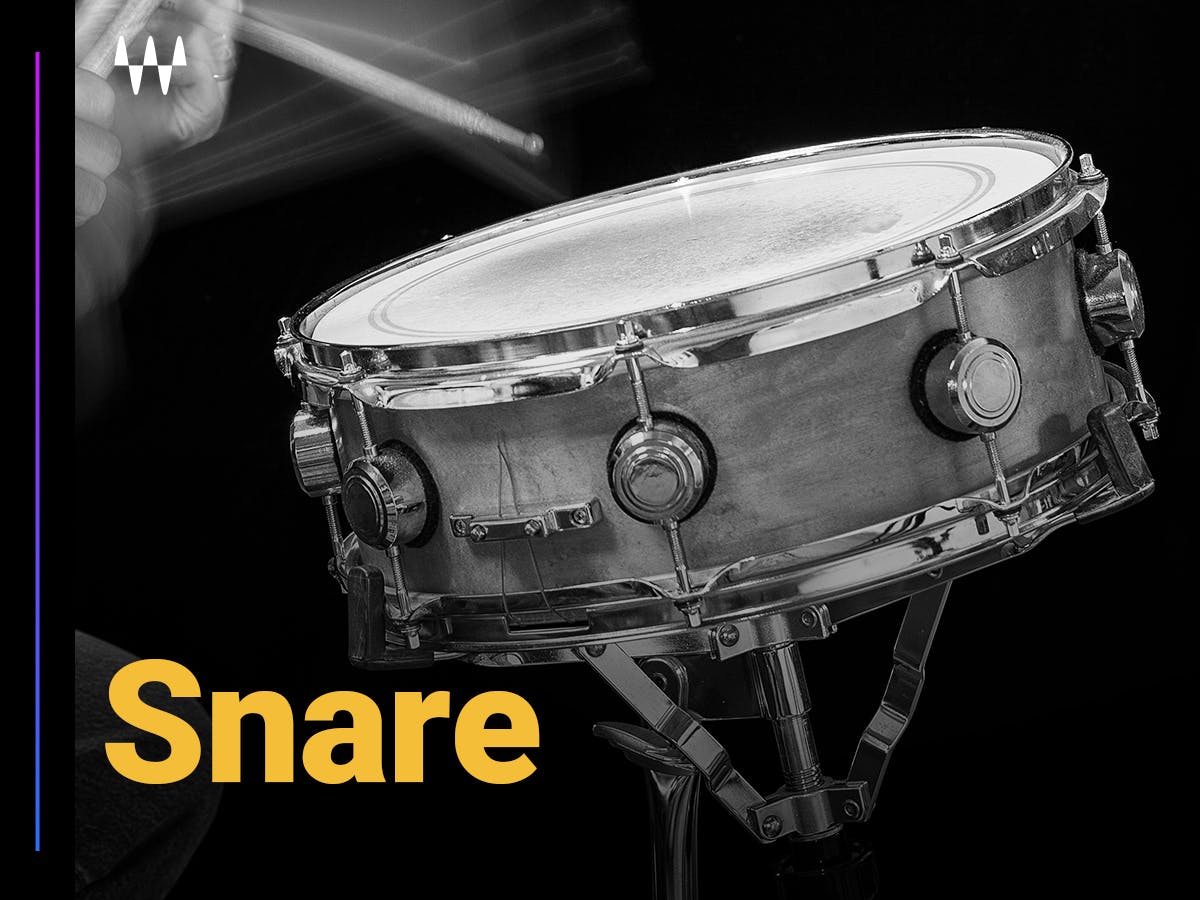 Snare Top Mic | Waves-Audio | StudioVerse | Waves